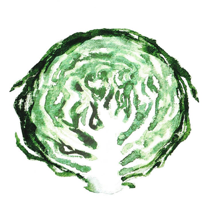 CSA Cabbage Throw Farm | cabbagethrowfarm